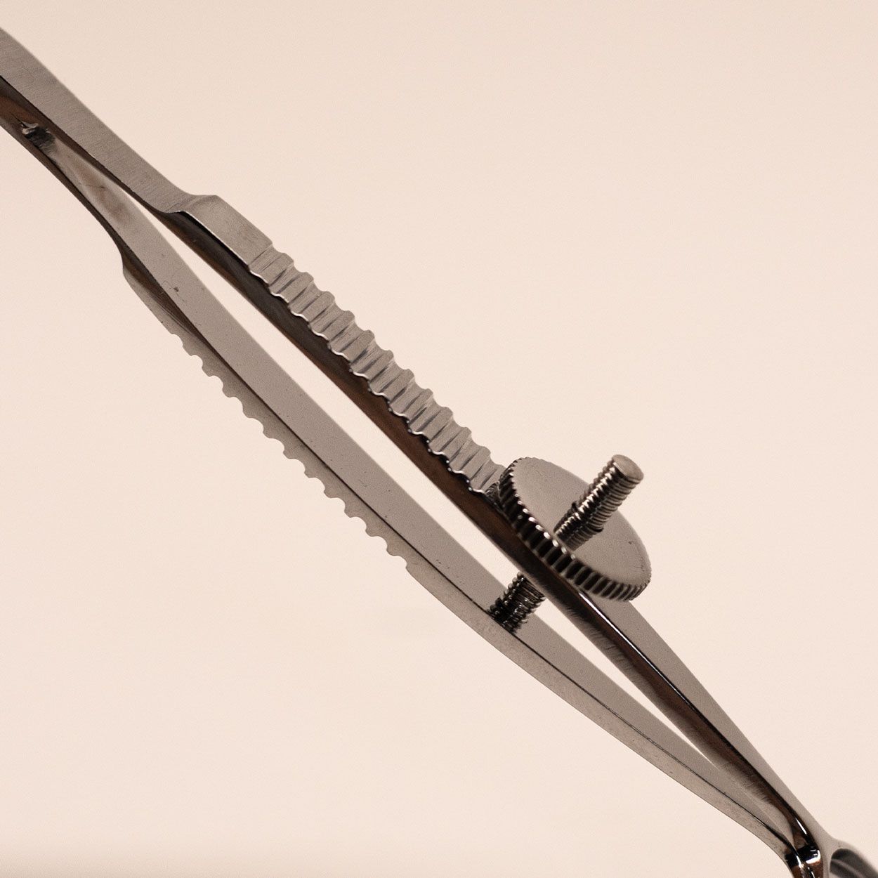 Chalazion Forceps OVAL Medium (SS) – Farocare